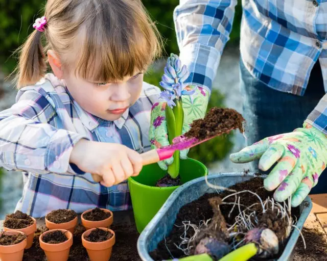 Plantas em crescimento com crianças