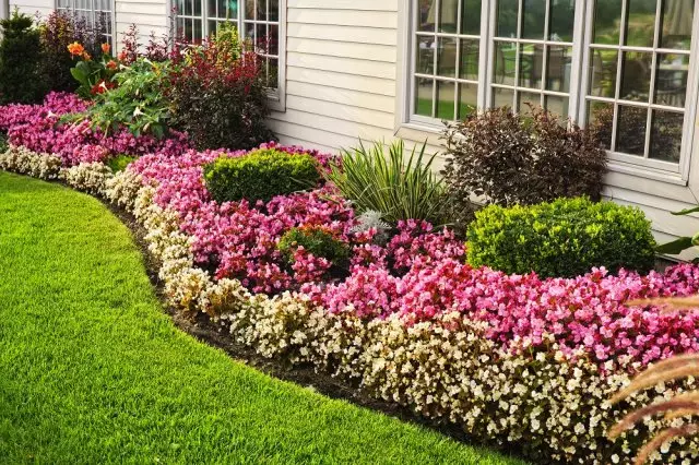 Hoe kinne jo planten op blommen bed kombinearje