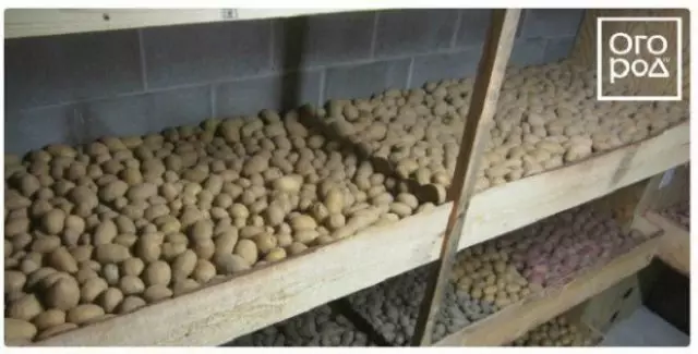 Conservazione di patate