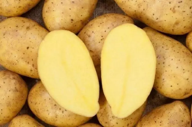Tuberi da taglio prima di piantare le patate