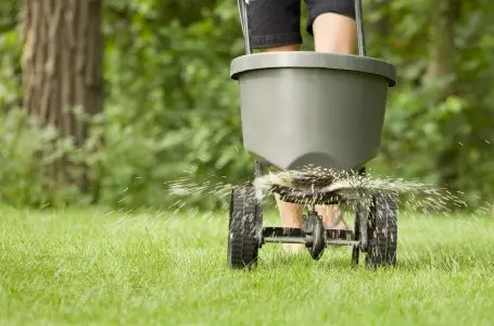 Høstgjødsel - enn å mate hagen, hagen og blomsterbenet på slutten av sesongen 2024_19