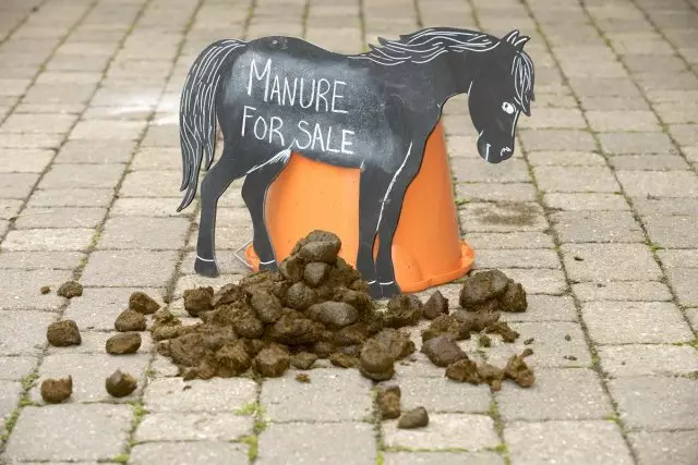 ცხენი და manure