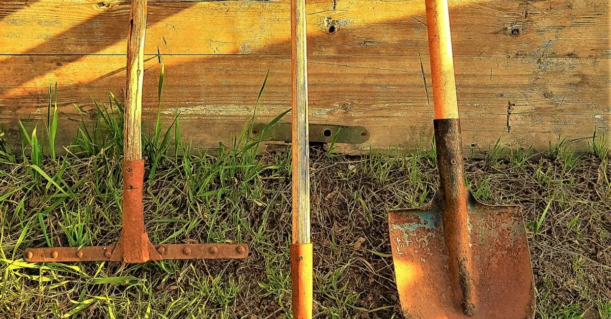 Why the garden tools are spoiled - 5 main reasons