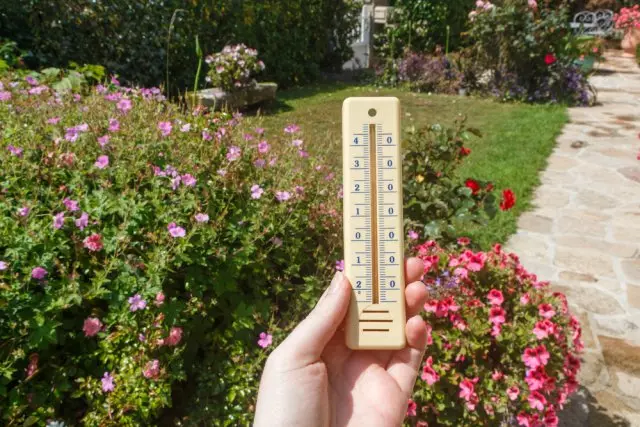 Mjerenje temperature