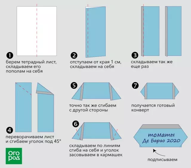 Co przechowywać nasiona: 5 prostych i wygodnych opcji