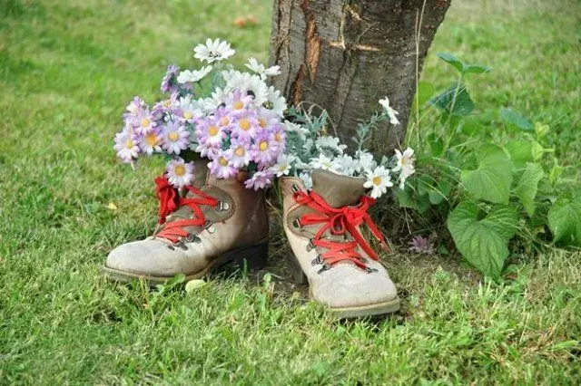 Atrodo, kad gėlės patys sudygsta atsitiktinai kairiajame batuose