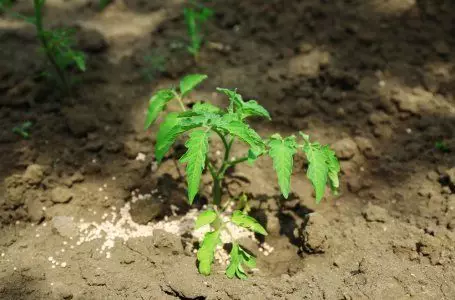 খনিজ সার - এটি কী এবং কীভাবে তাদের সঠিকভাবে তৈরি করতে হয় 2070_3