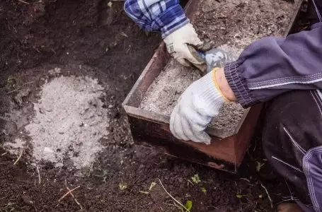 Kaip taikyti kiaušinių apvalkalą - apie tai apie sodą ir sodą naudą 2075_9