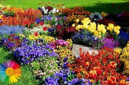 Soluções de cores ideais para o seu jardim 2079_9