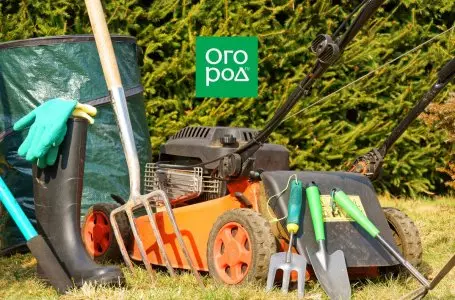 30 rostos no jardim, jardim e canteiro de flores em dezembro 2088_9