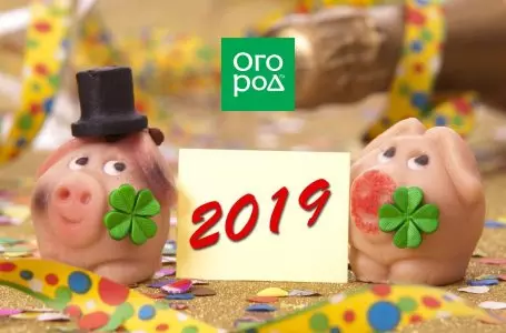 Cum și ce trebuie să sărbătoriți noul an 2019 de porc 213_27