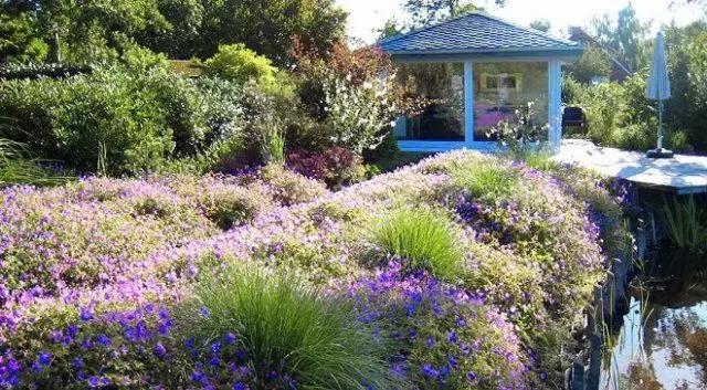 Flores en el jardín.