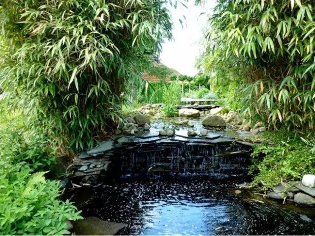 Cascada en el jardín.