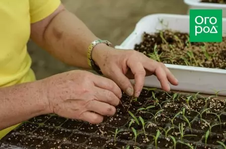 Сіздің коттеджге ақша табудың 6 қарапайым және дәлелденген тәсілдері 2171_6