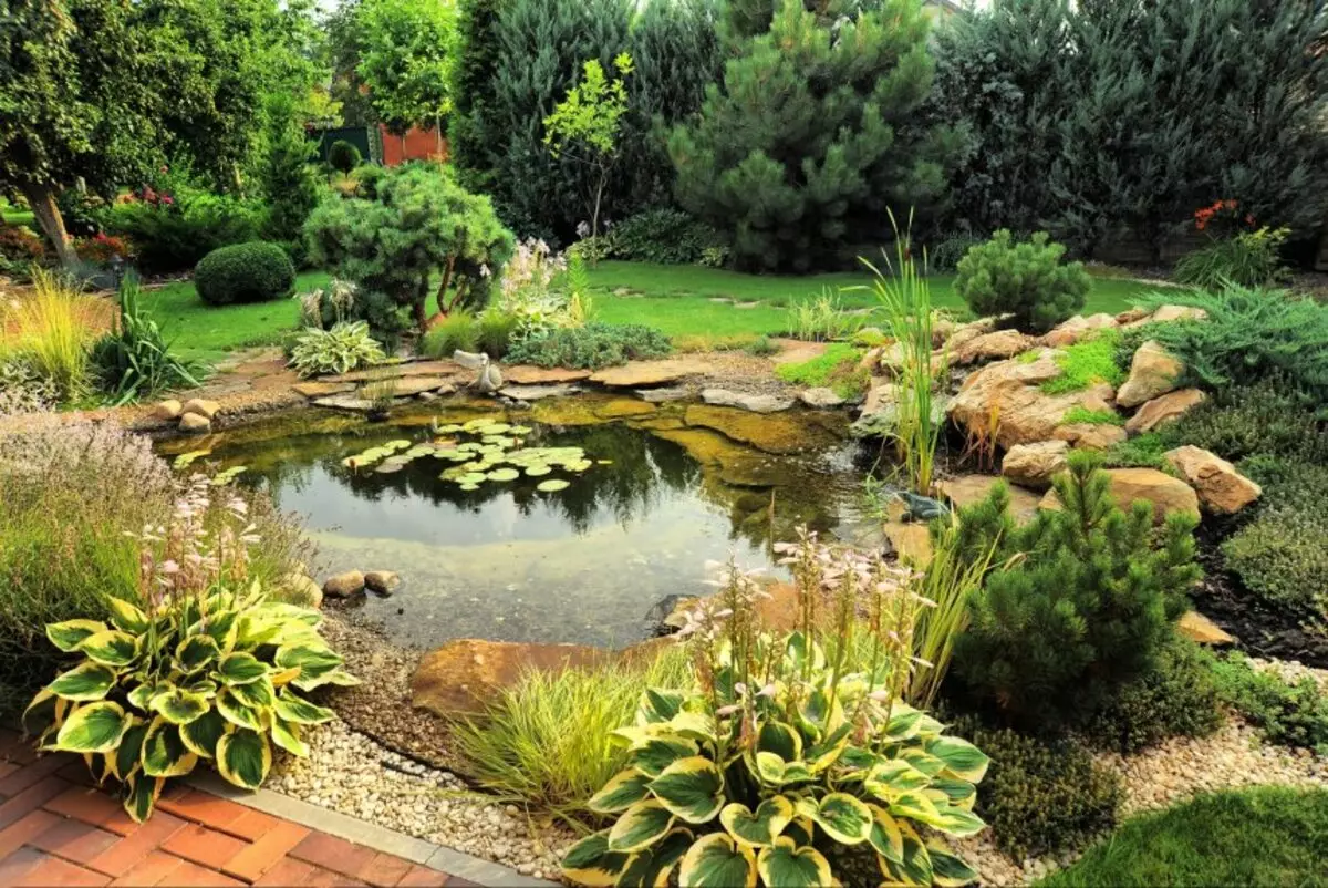 Beautiful pond on the plot