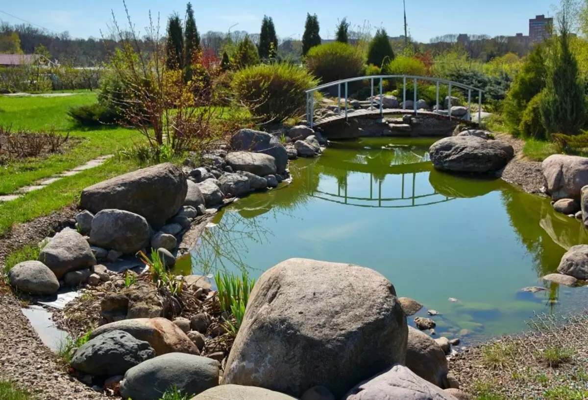 Water with bridge