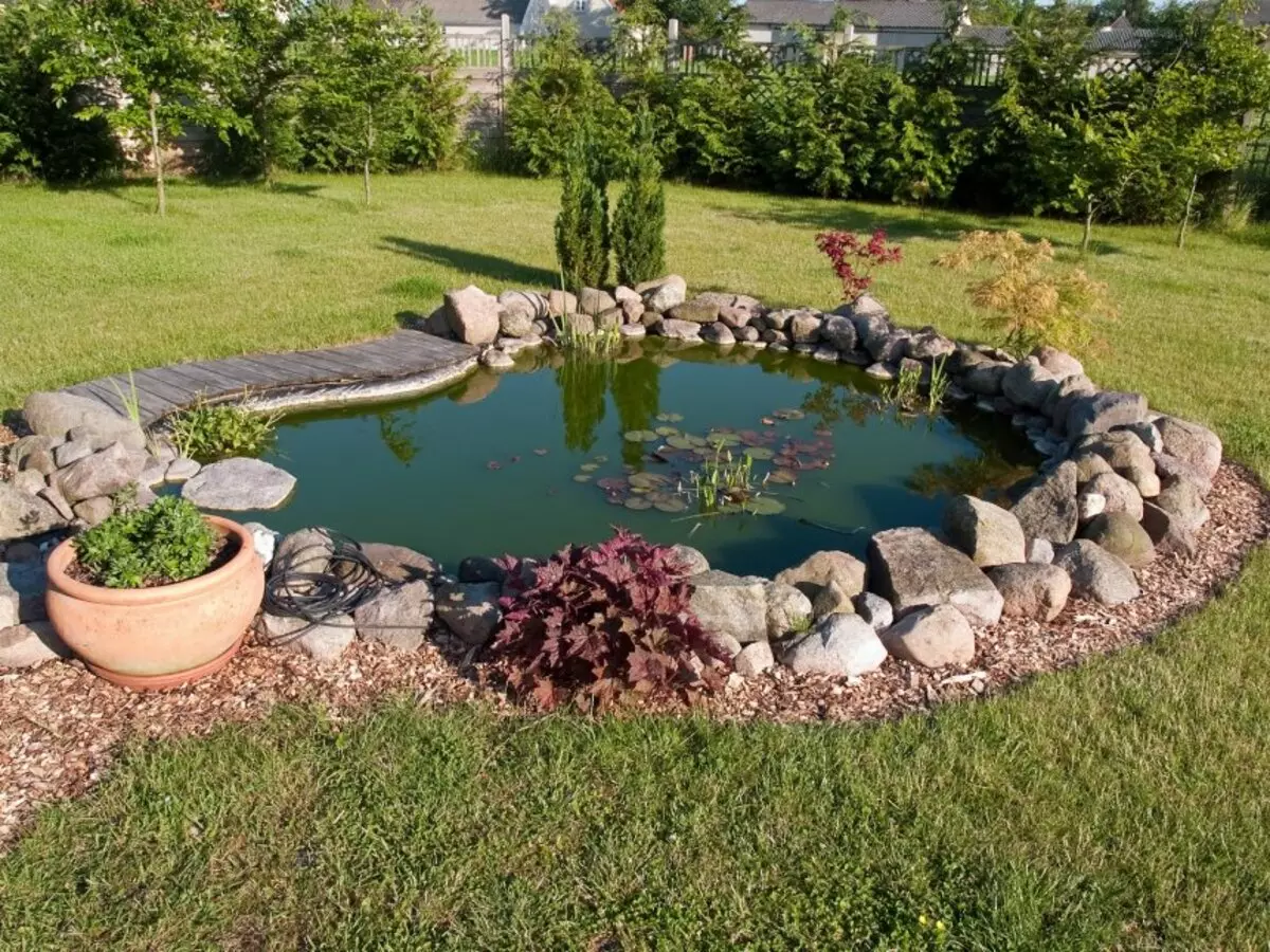 Beautiful reservoirs on the plot