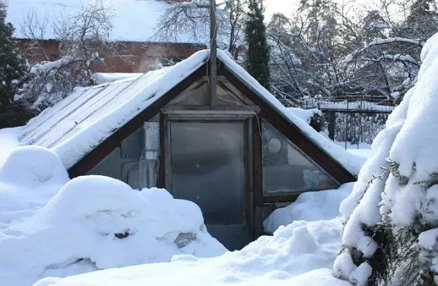 Staklena kuća zimi