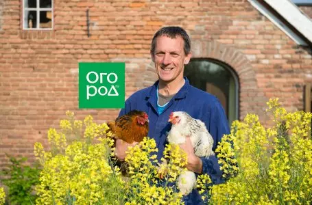 Ponovni zagon za Chicken Coop: Pojdite perutnino po zimi 2280_1