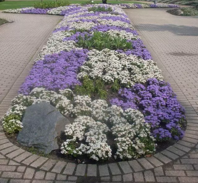 Oval Flowerbed