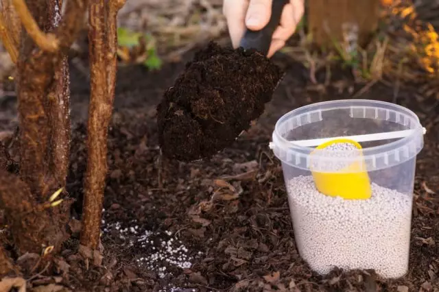 So füttern Sie den Garten