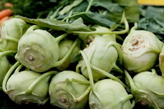 કોબી Kohlrabi વિવિધતા