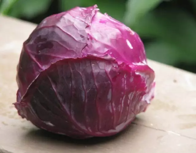 Variétés braconnées rouges du chou