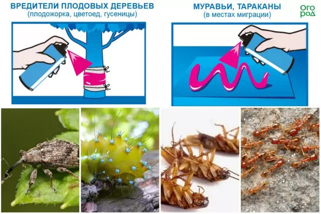 Metoder for bruk av lim aerosol fra insekter