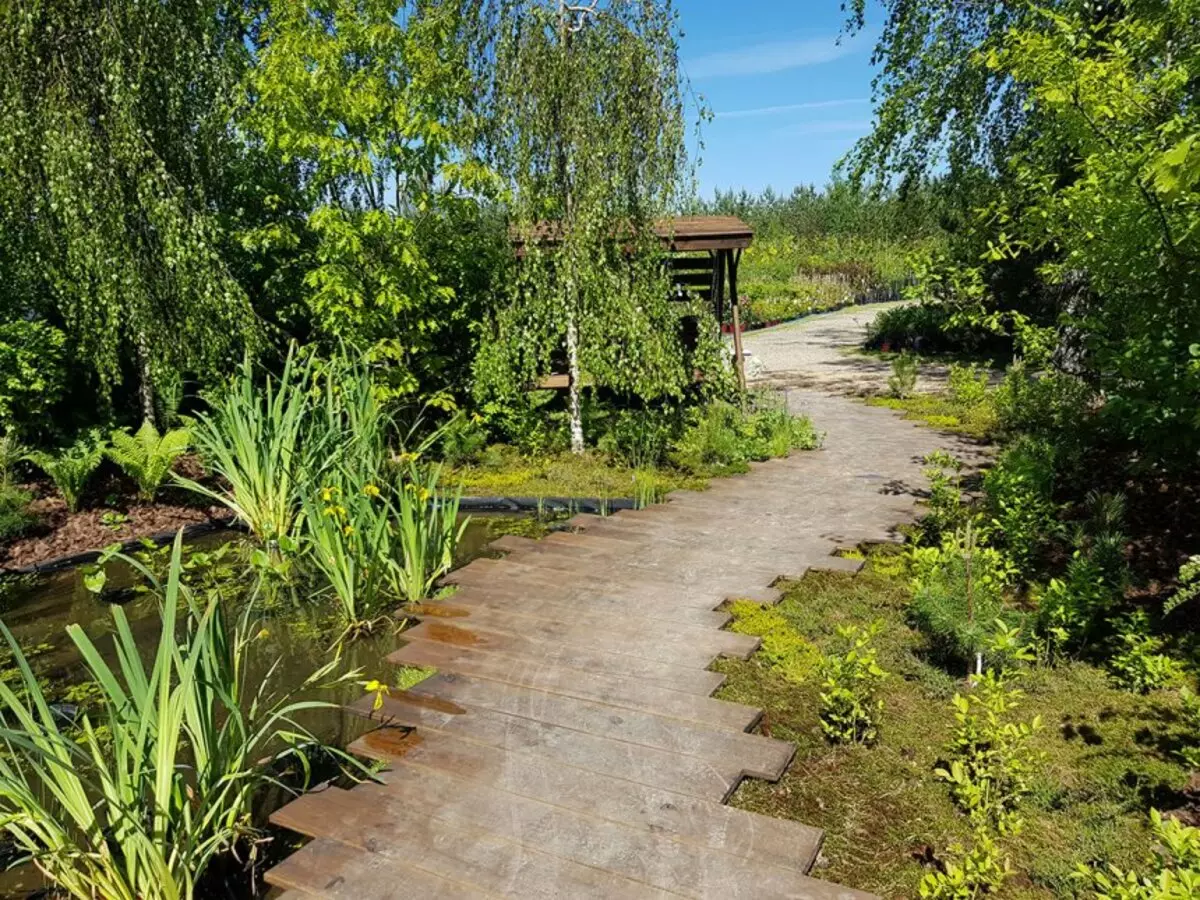 50 nuances de vert: Garden Design, Inspiré des Polesk Swamps 234_13