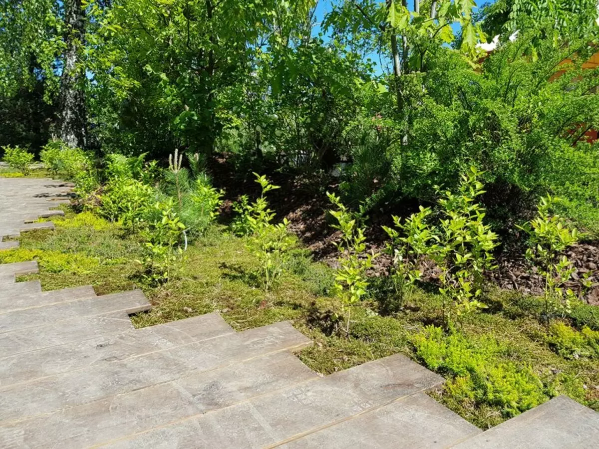 50 nuances de vert: Garden Design, Inspiré des Polesk Swamps 234_17