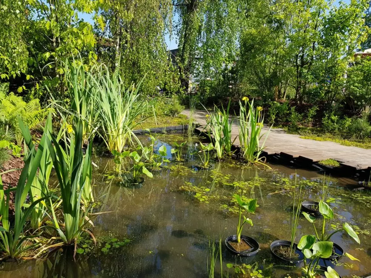 50 nuances de vert: Garden Design, Inspiré des Polesk Swamps 234_3