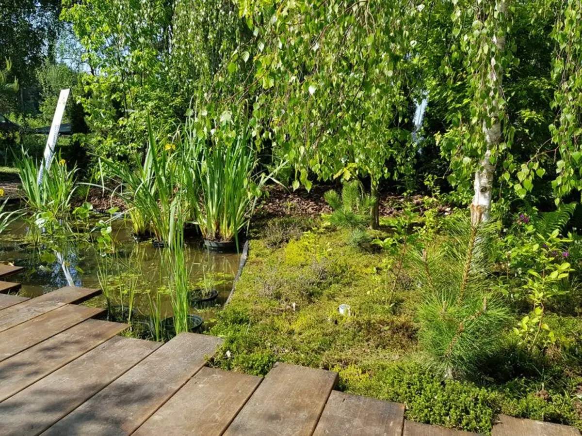 50 nuances de vert: Garden Design, Inspiré des Polesk Swamps 234_5