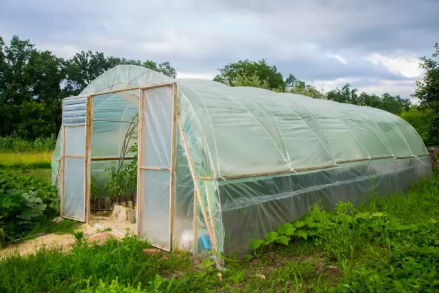 Greenhouse mu gihe cyo mu busitani