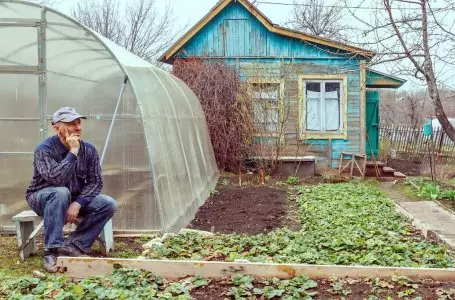 Бюджетна плівкова теплиця - як побудувати самому за 1-2 дня 2361_3