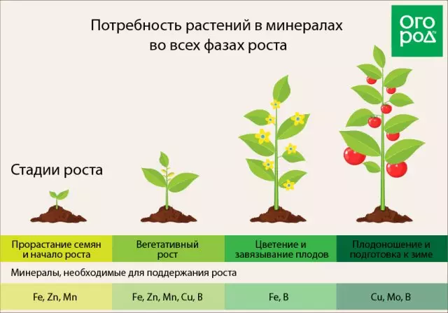 Mikroelementoj por la planto