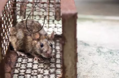 Egy vidéki ház elkészítése télen - 10 fő tanács 2422_22