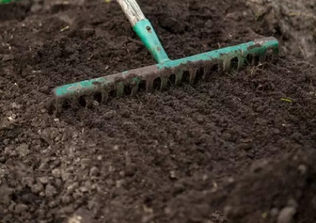 So legen Sie einen Erdbeer-Frühling in einen Außenbereich