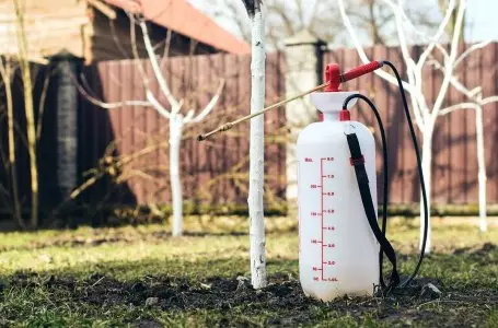 Plan voor de bescherming van aardbeien van ziekten en ongedierte voor het hele seizoen 2467_9