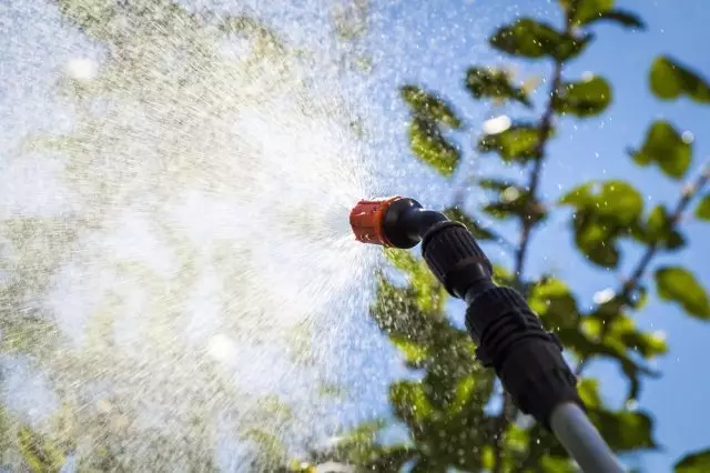 di come e quando alimenta gli alberi da frutto in primavera