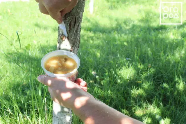 Zväčšujúce sa záhradné člny trhliny na trupe