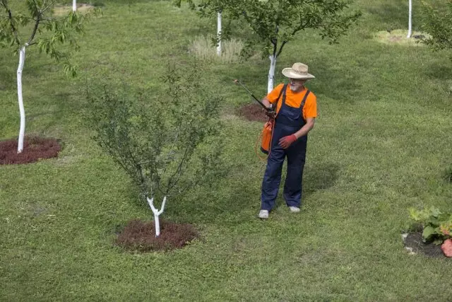 Processing garden from pests