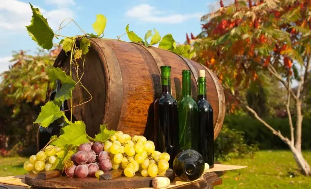 Vin druer for Middle Strip - Velg det beste 2592_17