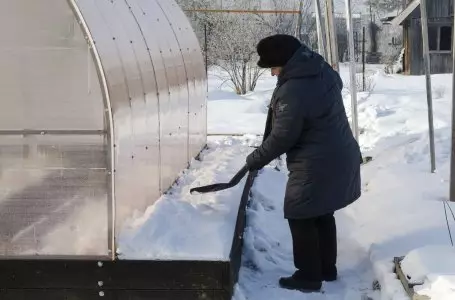 10 cose che nessuno ti parlerà della prima area di giardinaggio 2700_35