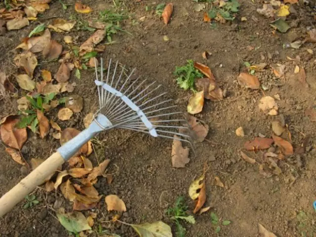 primo giardino giardino che cosa fare con cosa iniziare