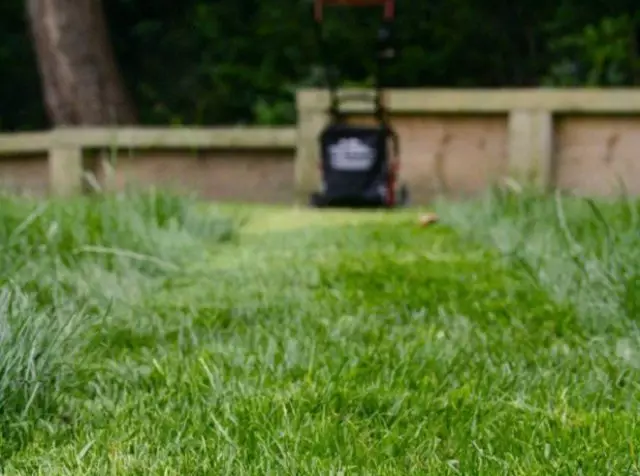 primo giardino giardino che cosa fare con cosa iniziare