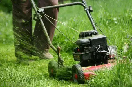 10 dingen die niemand je zal vertellen over het eerste tuingebied 2700_9