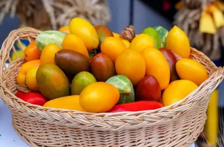 Ass et wäertvoll niddereg Tomaten ze wuessen - 8 Argumenter 2731_9