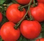 Tomatoes Red Cap