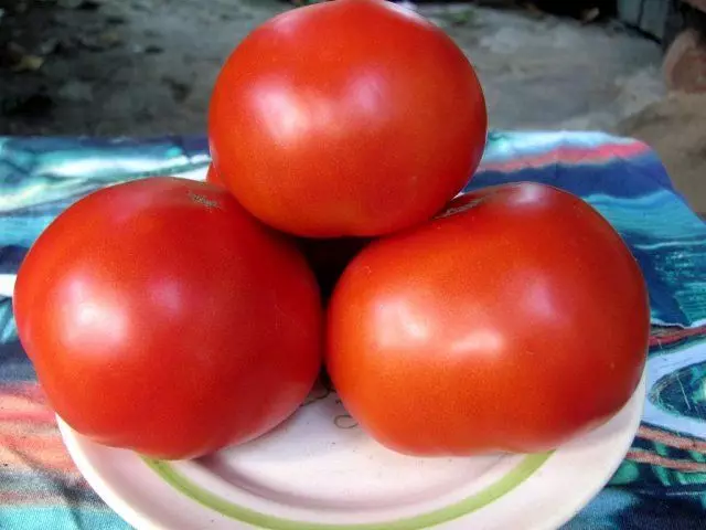 الطماطم الأحمر كراسنو