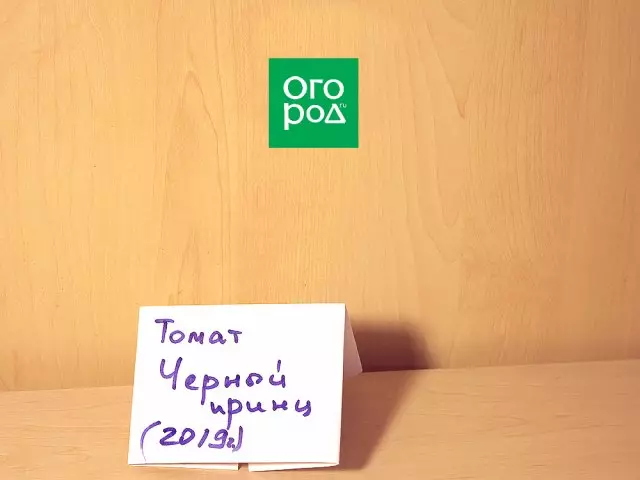 Meriv çawa li malê tovên tomato berhev dike û hilîne